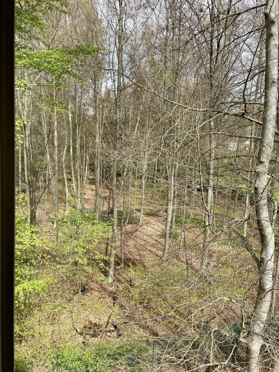 Studio 60 m² Avenue René Lyr in Uccle